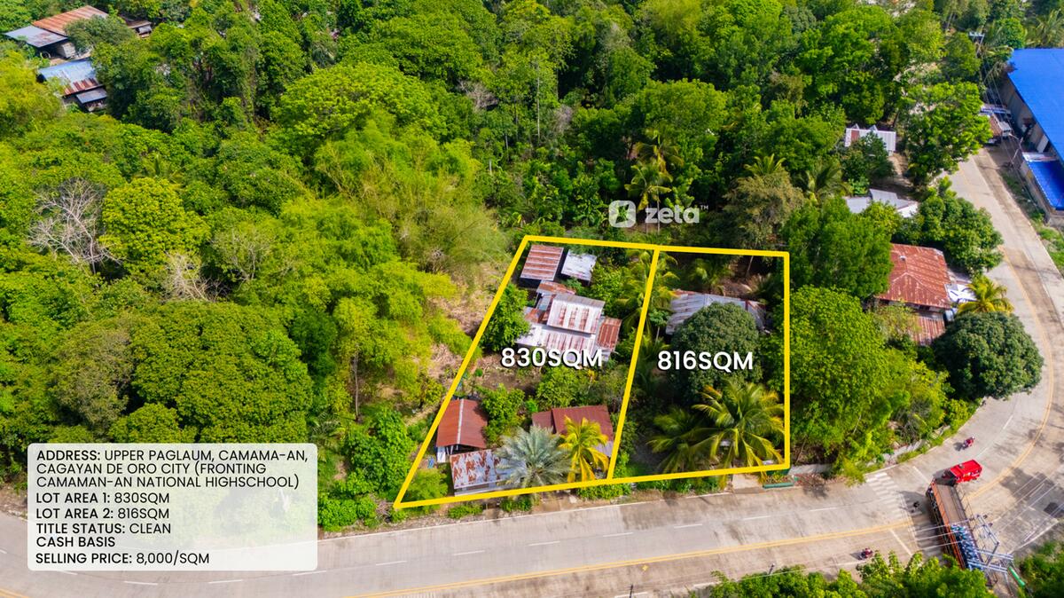 Camaman-an Lot For Sale Along the Road