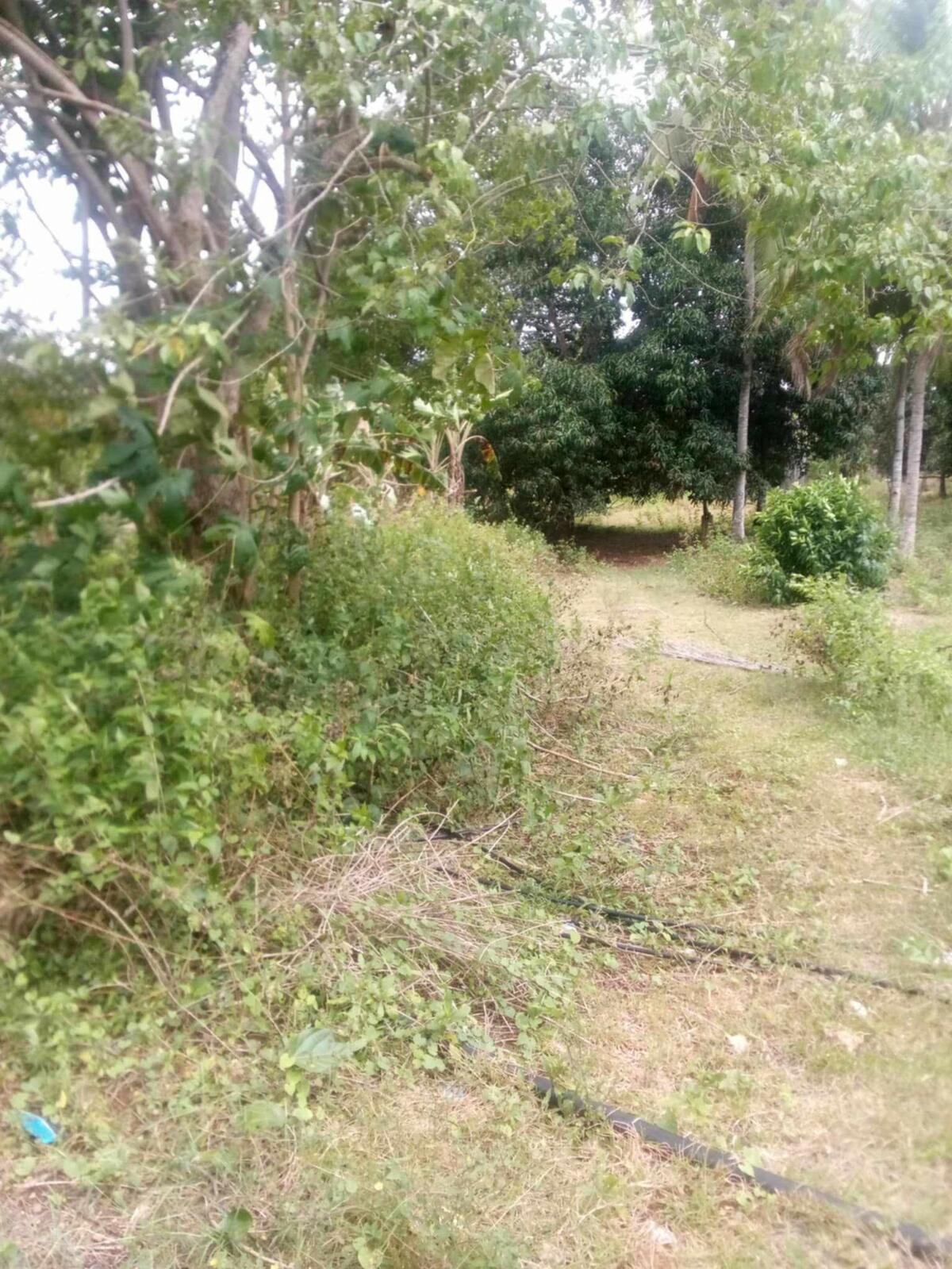 Ocean View Lot For Sale in Libertad, Misamis Oriental!