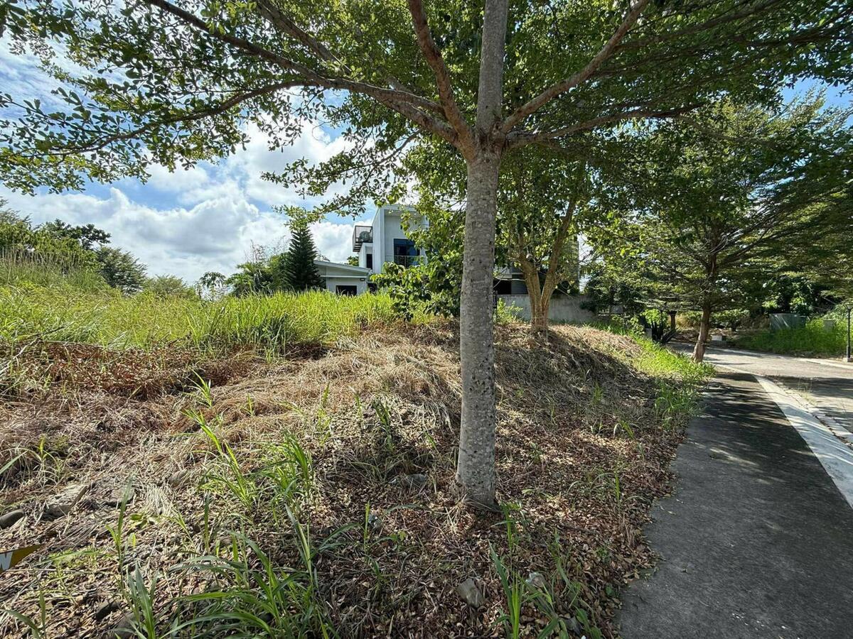 Prime Corner Lots for Sale in Alegria Hills, CDO!